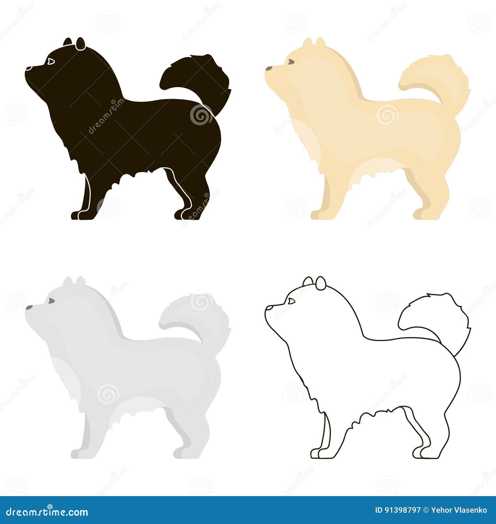 Chow Chow Dog Icon. Trendy Flat Vector Chow Chow Dog Icon On White ...