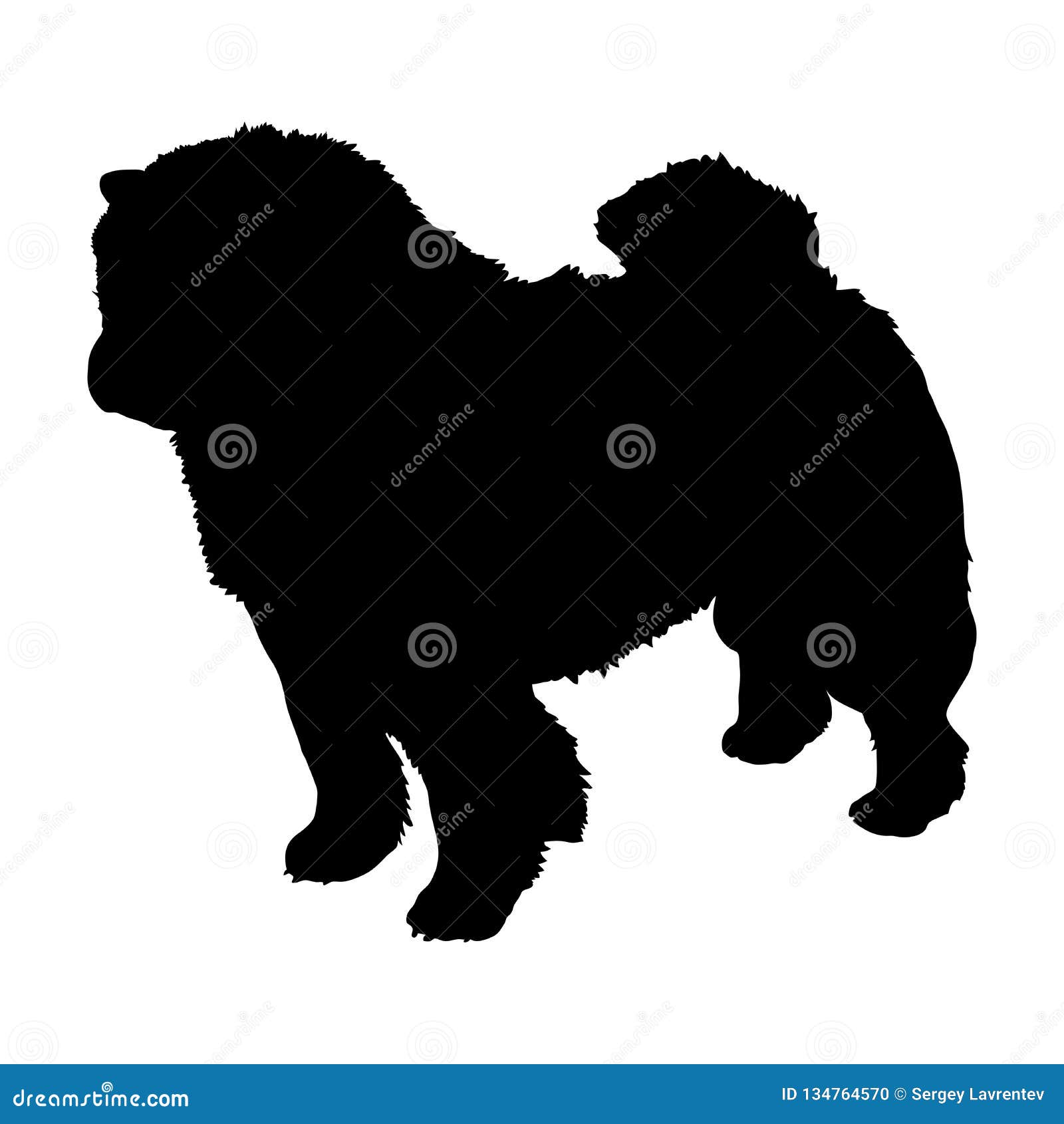 Chow-chow Silhouette Real Word Vector Illustration | CartoonDealer.com ...
