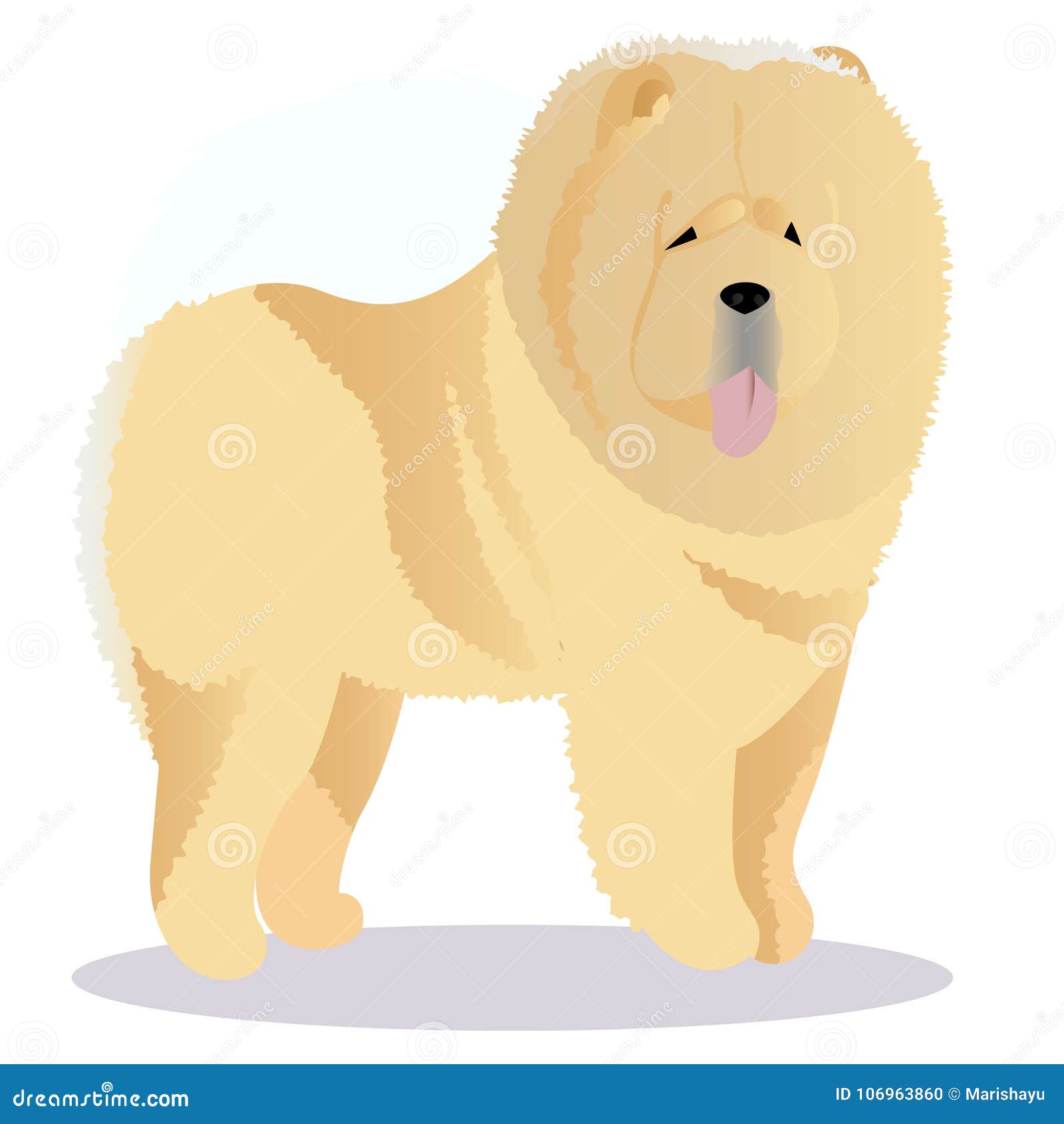 Chow chow dog tricolor stock vector. Illustration of cartoon - 106963860