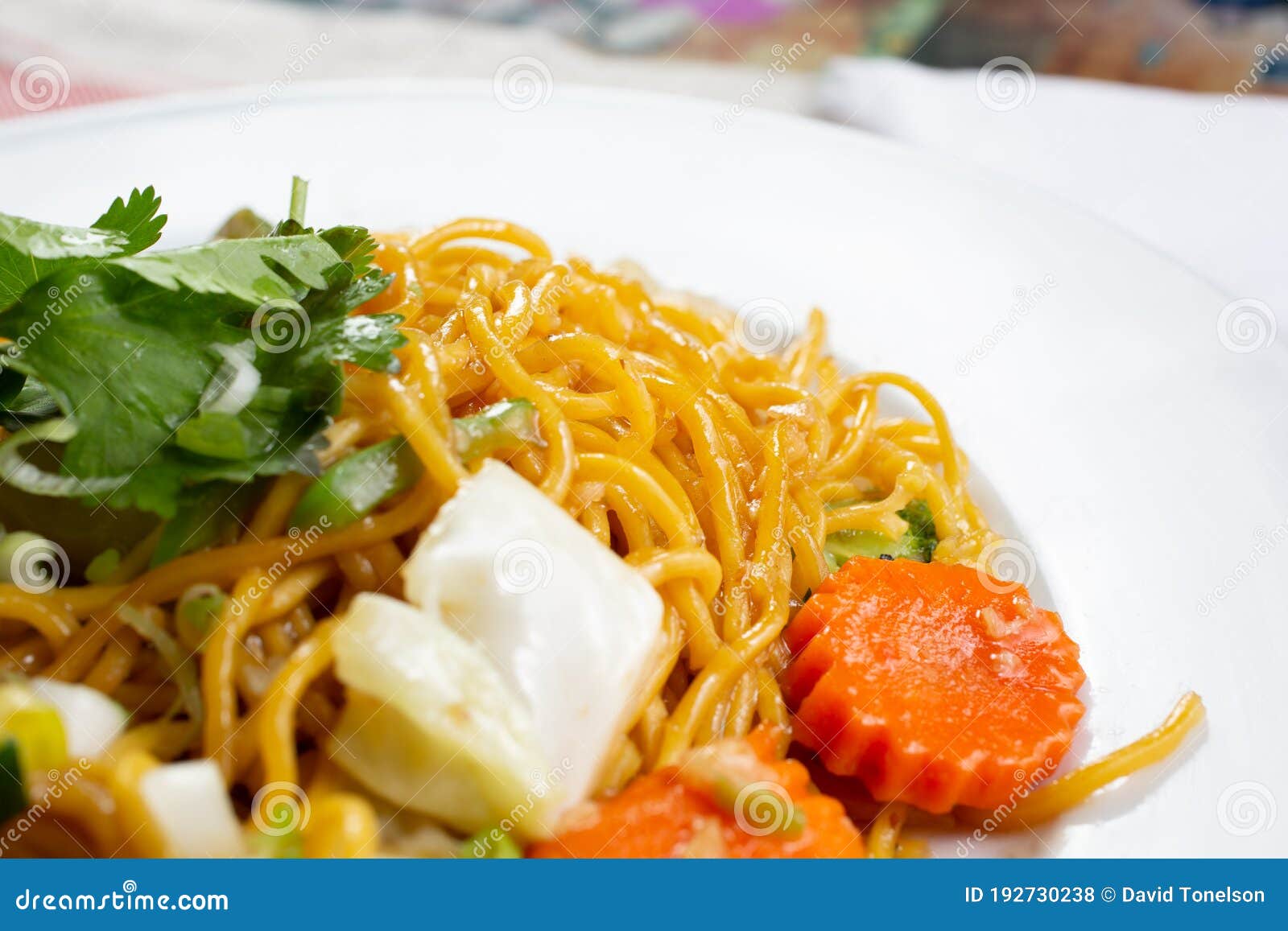 Chow mein plate stock photo. Image of napkin, setting - 192730238