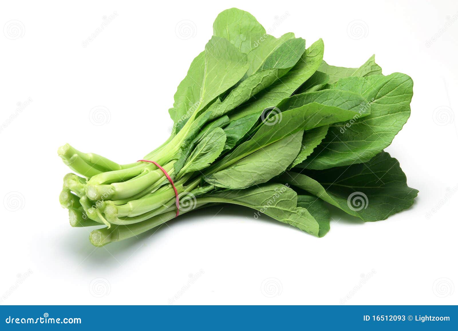 Choy Sum stock image. Image of isolated, still, studio - 16512093