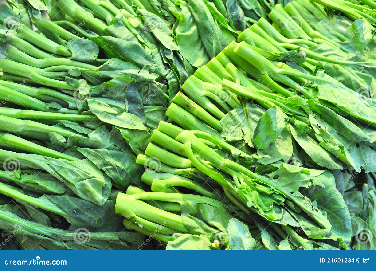 Choy sum stock photo. Image of choysum, green, market - 21601234