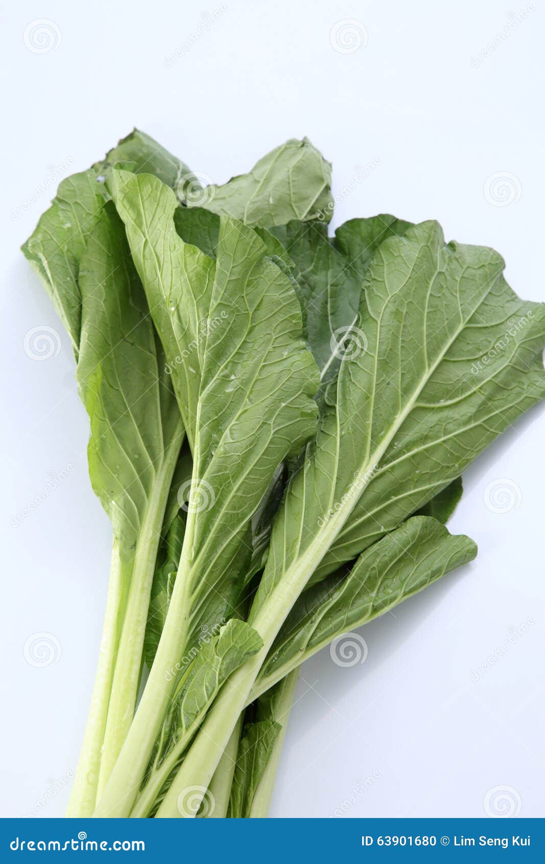 Choy sum stock photo. Image of nutrition, chinese, culinary - 63901680