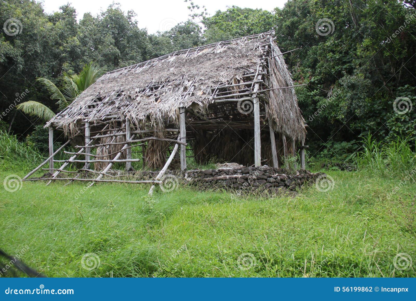 Choza foto de archivo. Imagen de bueno, maui, isla, wallpaper - 56199862