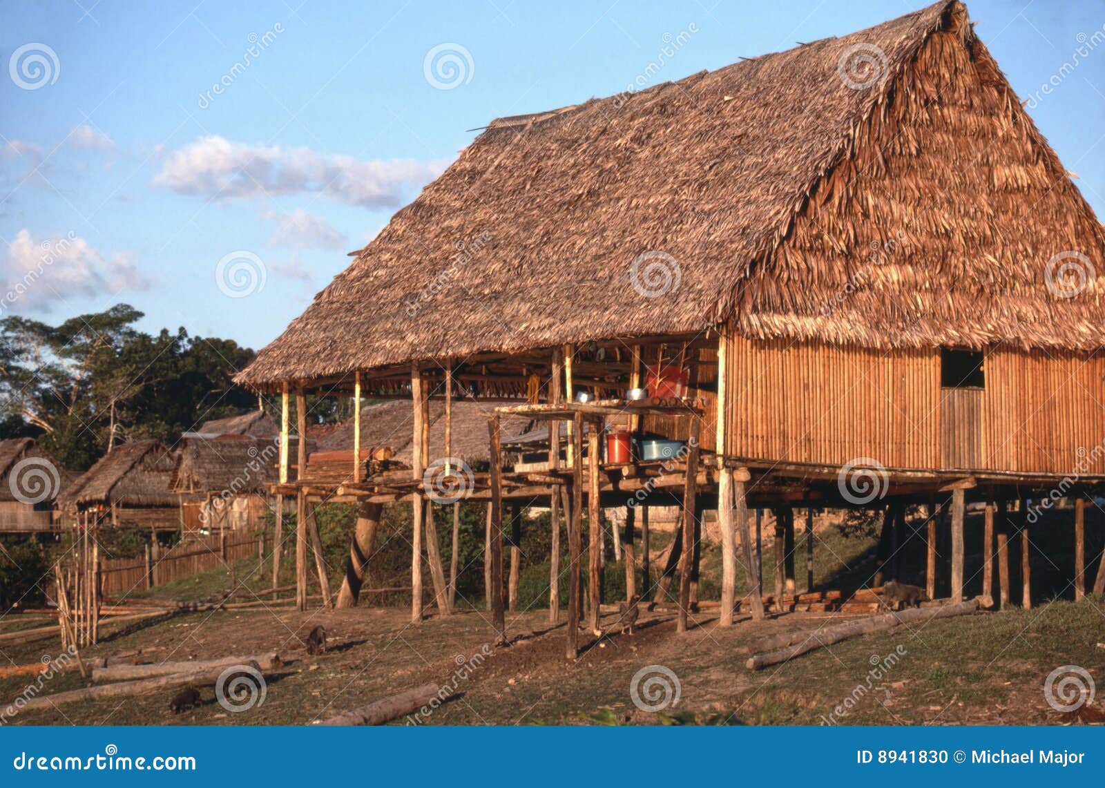 Choza Cubierta Con Paja En El Amazonas Peruano Foto de archivo - Imagen ...