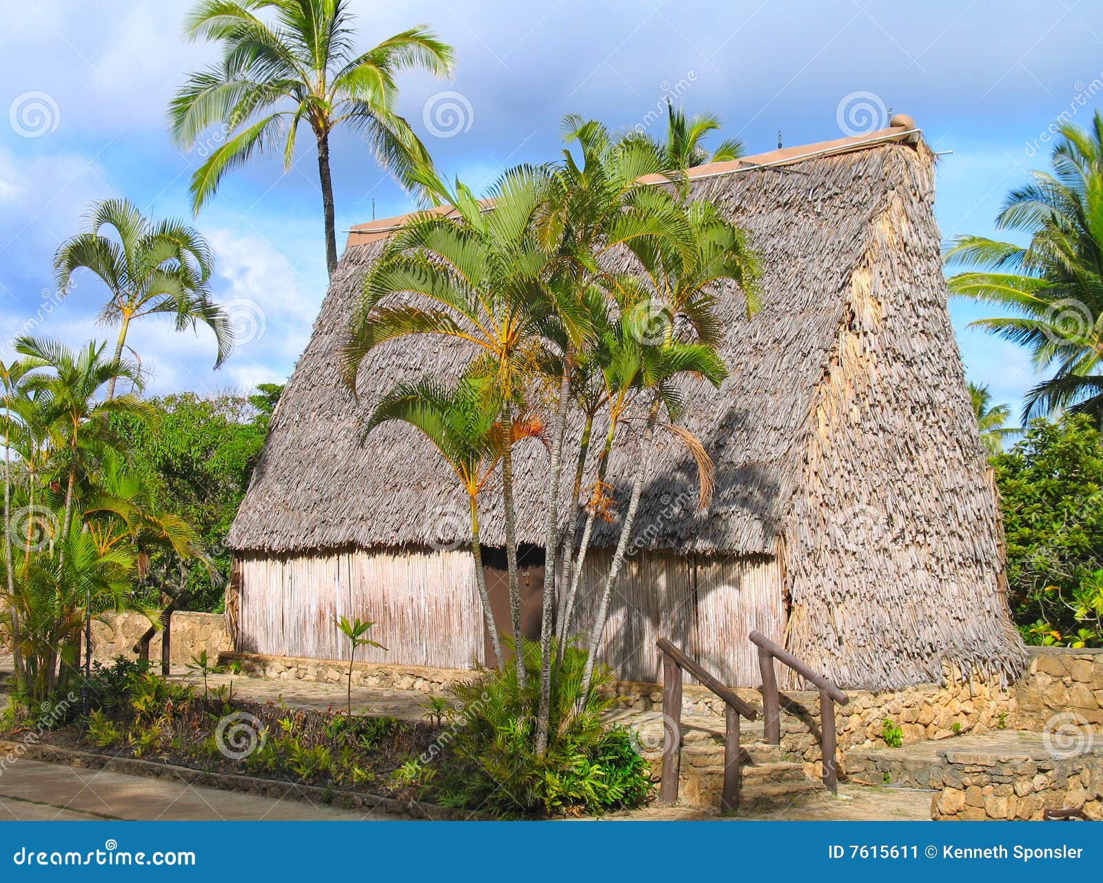 Choza De La Isla De South Pacific Imagen de archivo - Imagen de ...