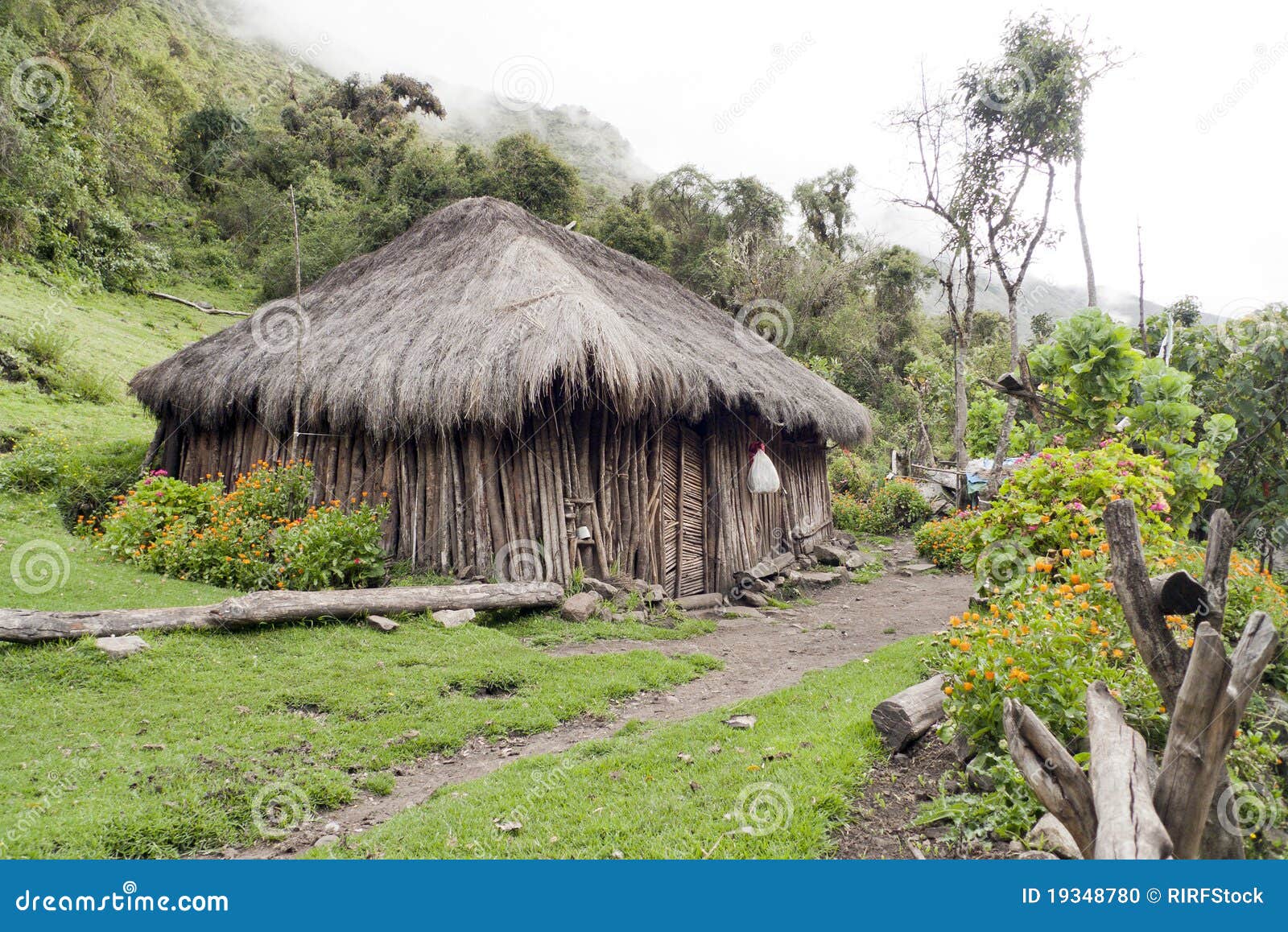 Choza de la selva foto de archivo. Imagen de exuberante - 19348780