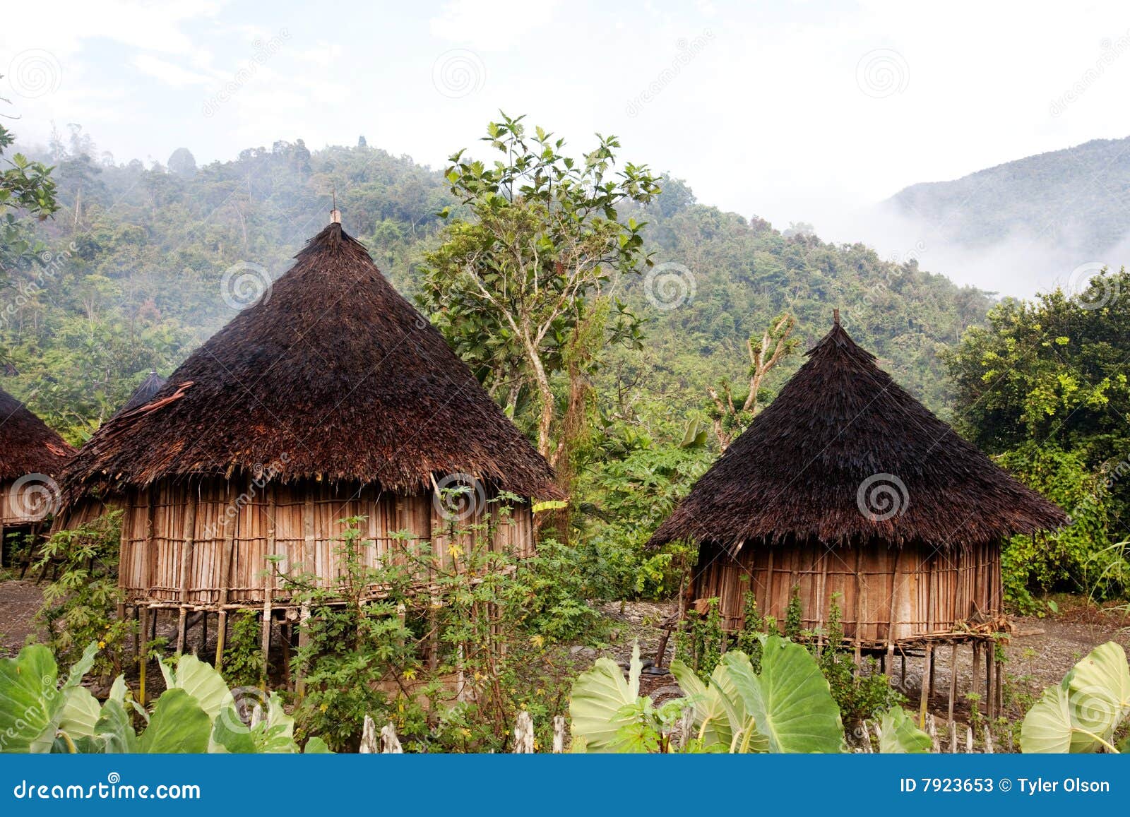 Choza tradicional imagen de archivo. Imagen de tradicional - 7923653