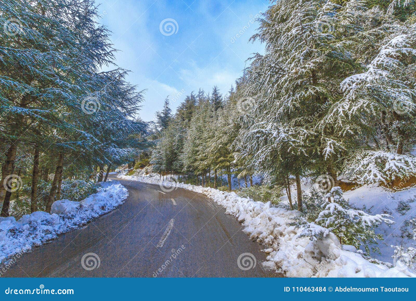 Chrea foto de archivo. Imagen de africano, reserva, vacaciones - 110463484