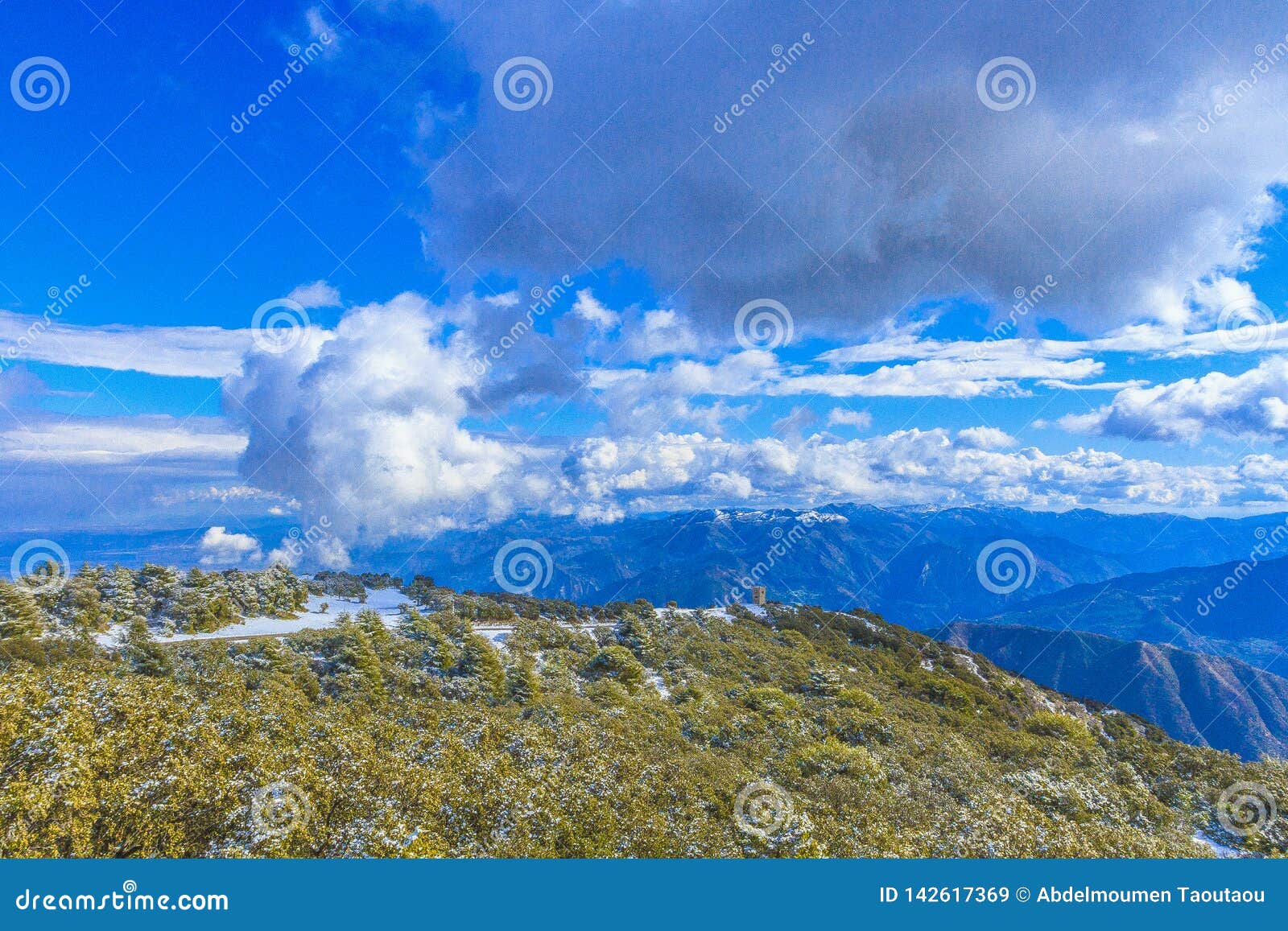 Chrea stock image. Image of forest, nature, relax, quercus - 142617369