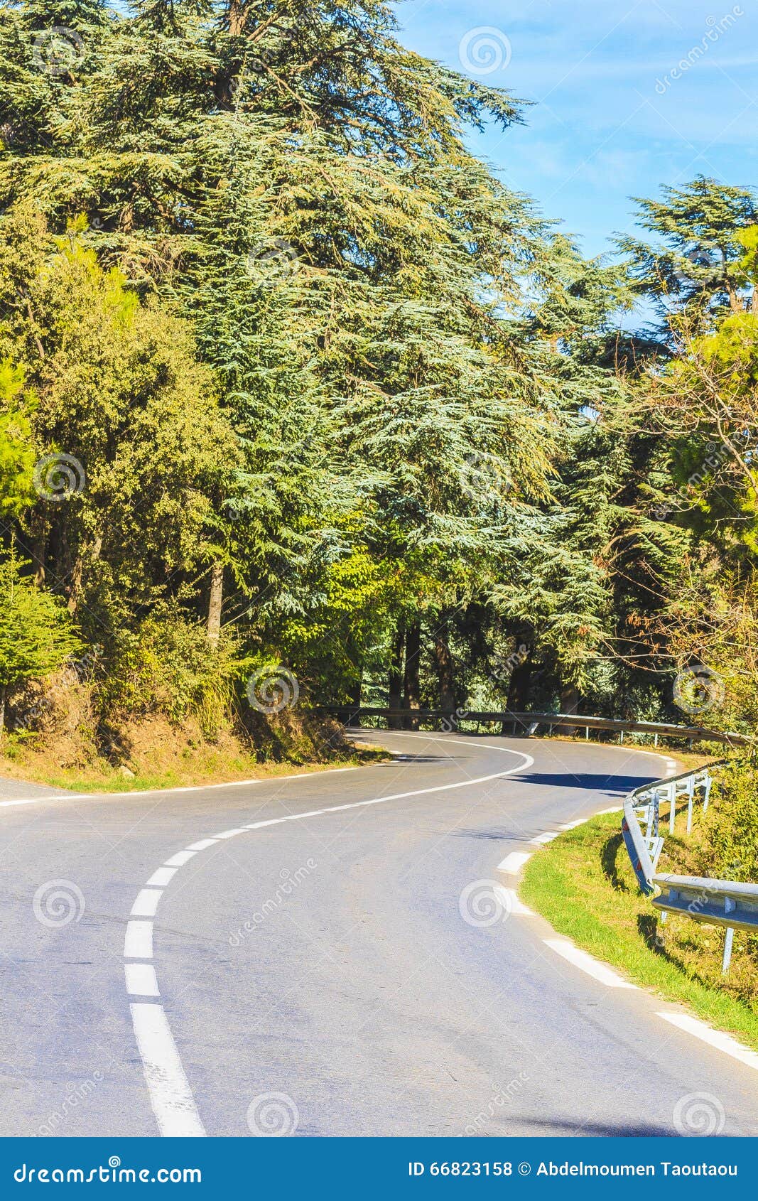 Chrea park stock photo. Image of adventuring, algeria - 66823158