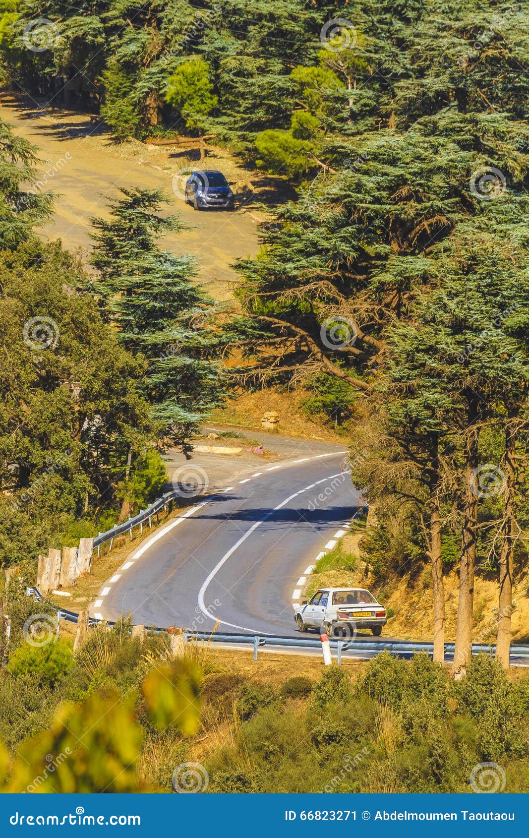 Chrea park editorial photo. Image of protected, park - 66823271