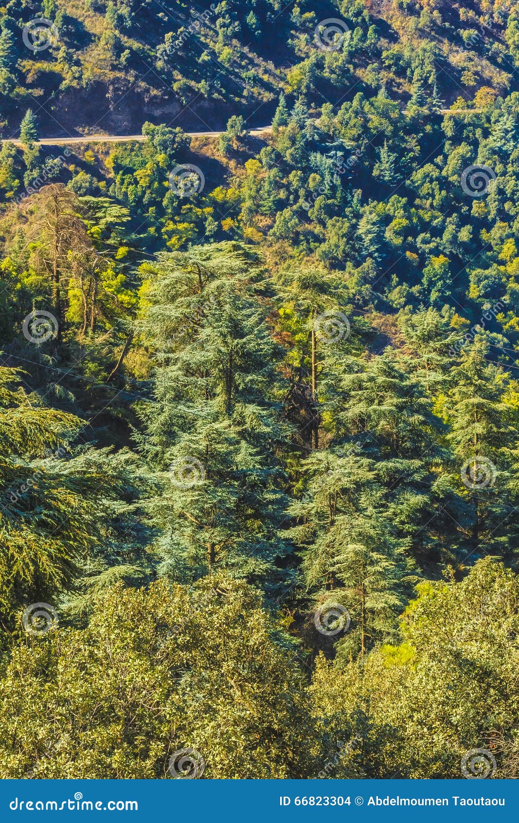 Chrea park stock photo. Image of nature, countryside - 66823304