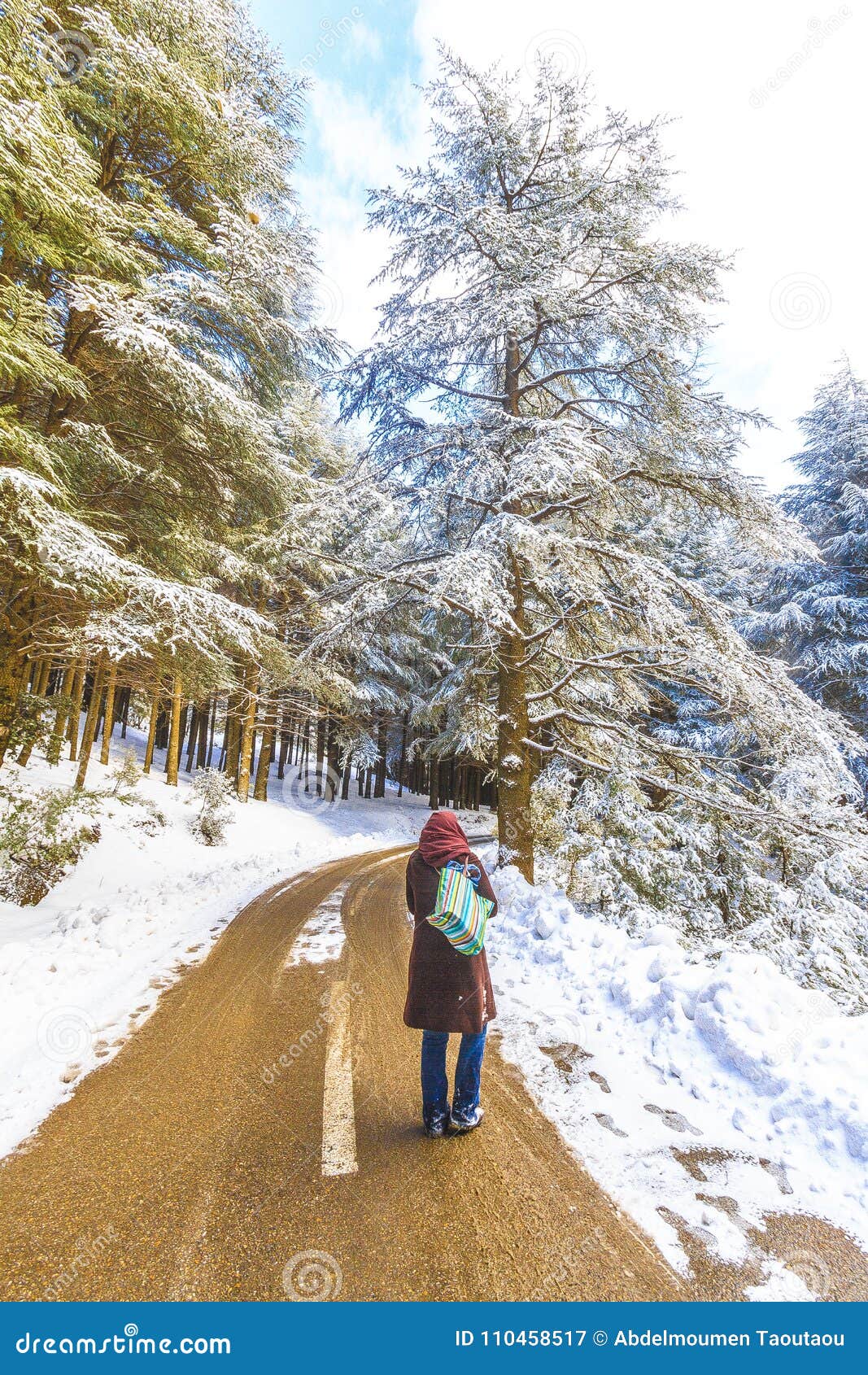 Chrea editorial photography. Image of park, snow, holiday - 110458517