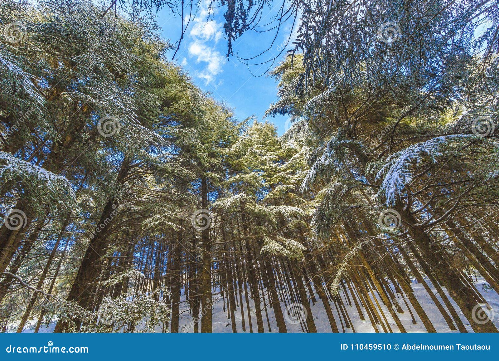 Chrea stock photo. Image of holiday, mountain, adventure - 110459510