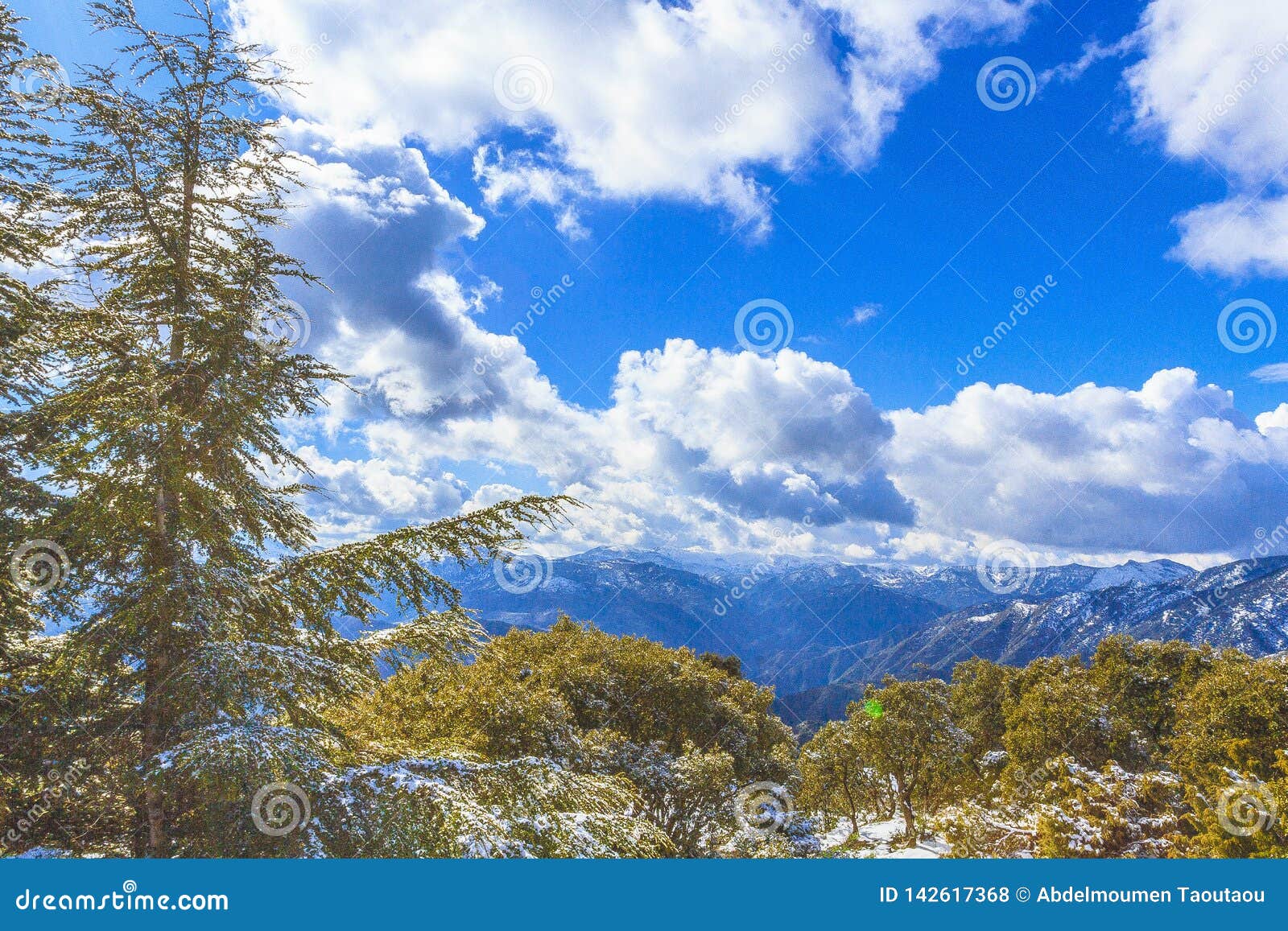 Chrea stock photo. Image of cloud, plant, adventurous - 142617368