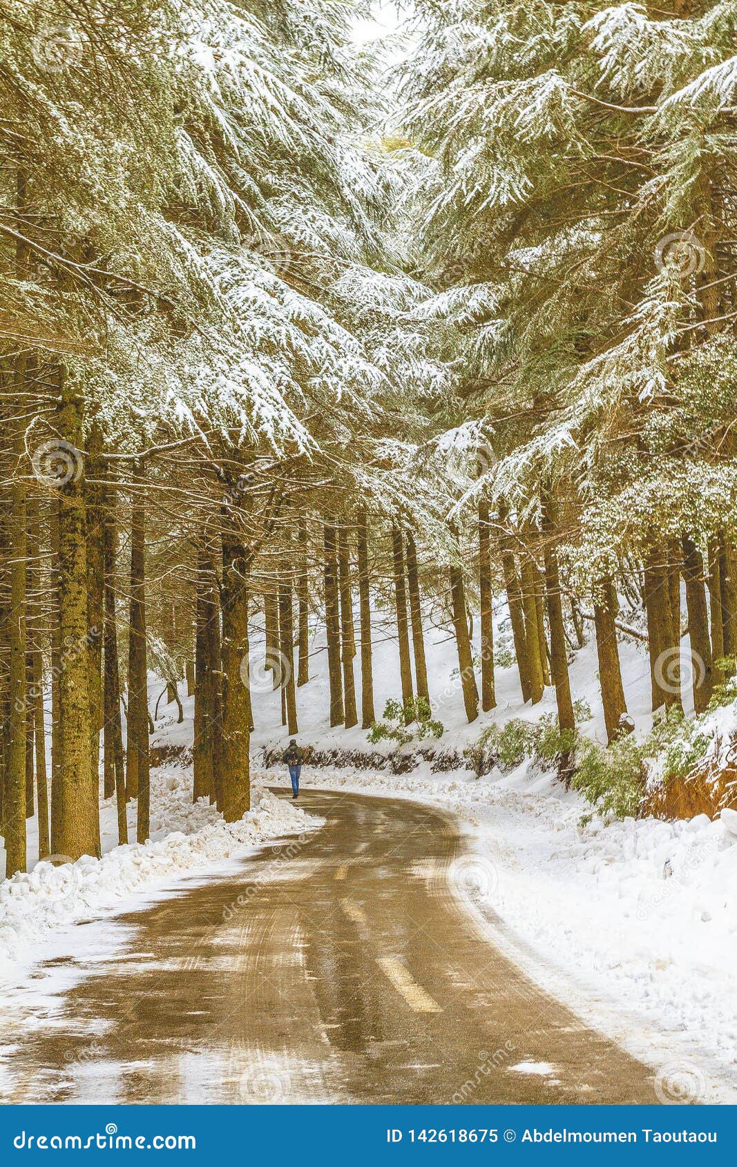 Chrea stock image. Image of chrea, protection, clouds - 142618675