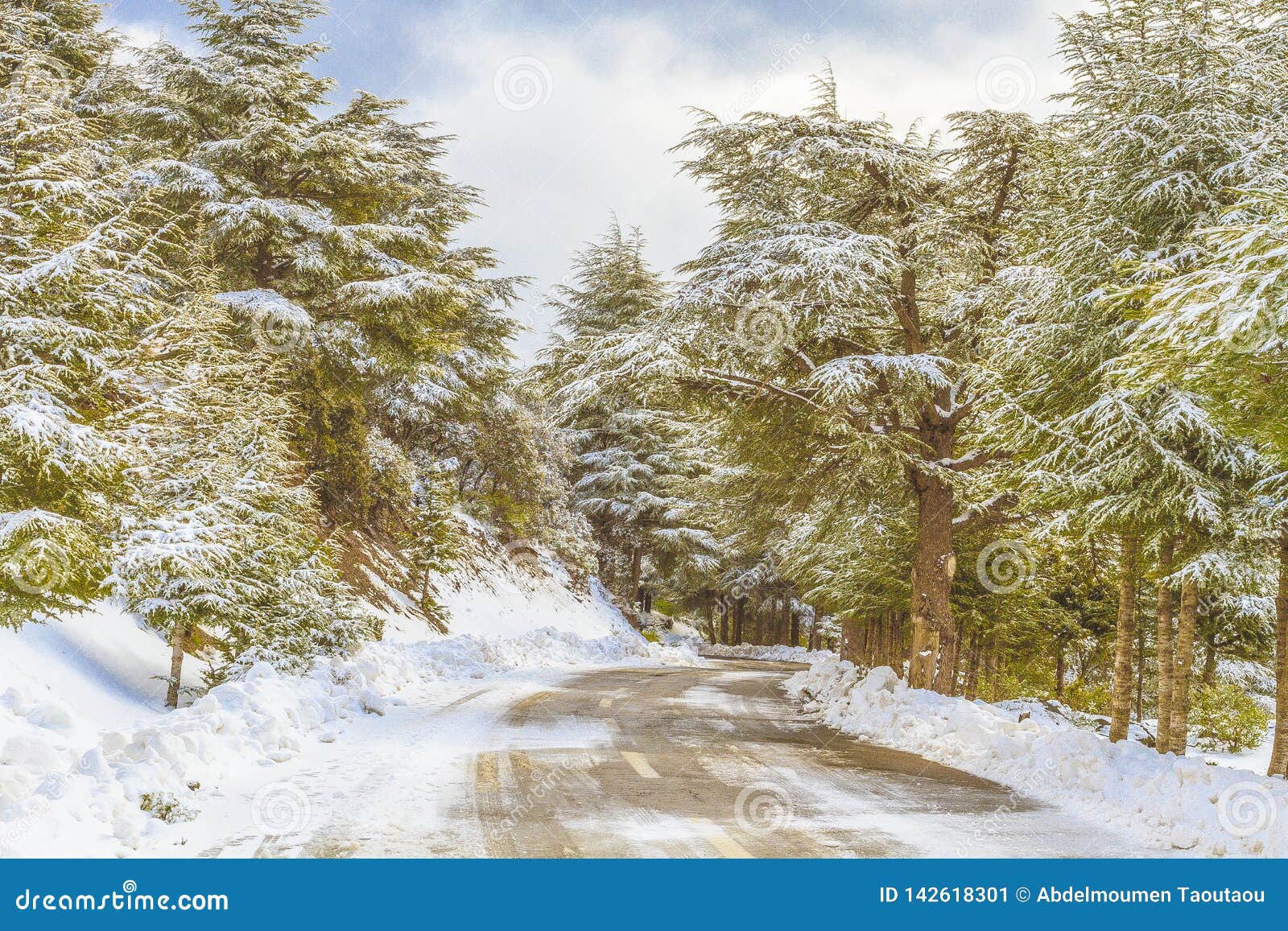 Chrea stock image. Image of holyday, clouds, relax, forest - 142618301
