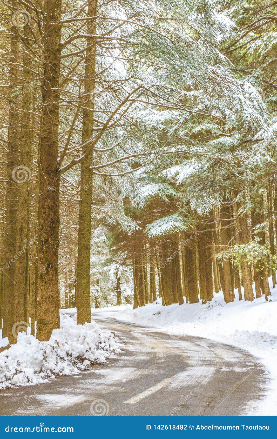 Chrea stock photo. Image of africa, clean, cloudy, nature - 142618482