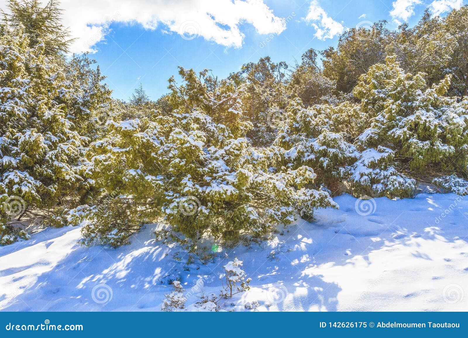 Chrea stock image. Image of clean, holiday, landscape - 142626175