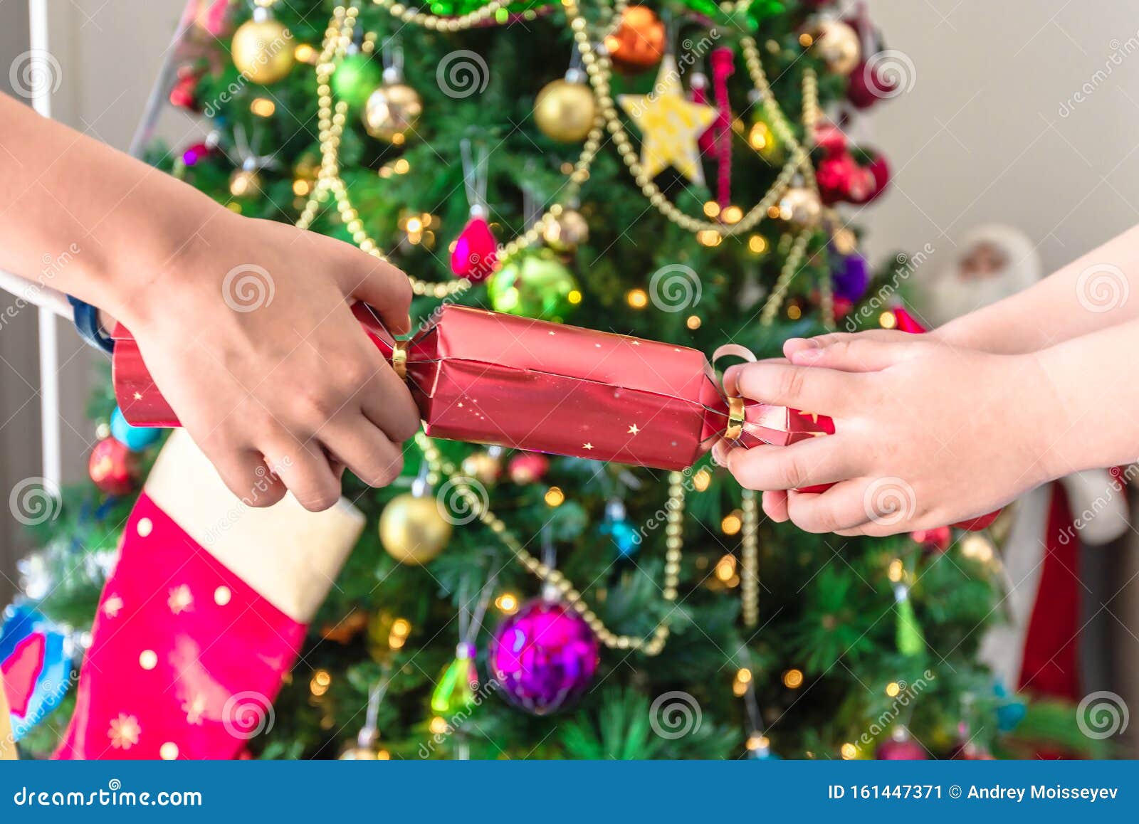 Children Pull Christmas Cracker Near Christmas Tree Stock Image - Image ...
