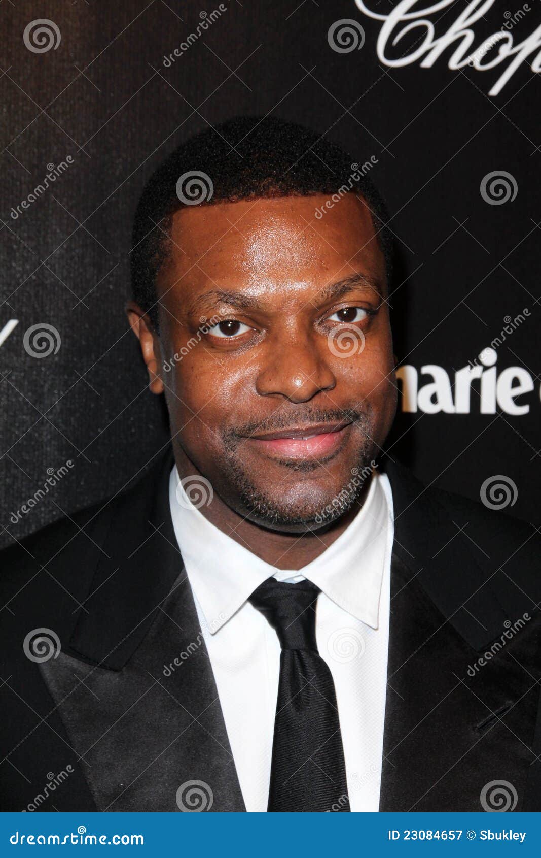 Chris Tucker editorial photography. Image of golden, chris - 23084657