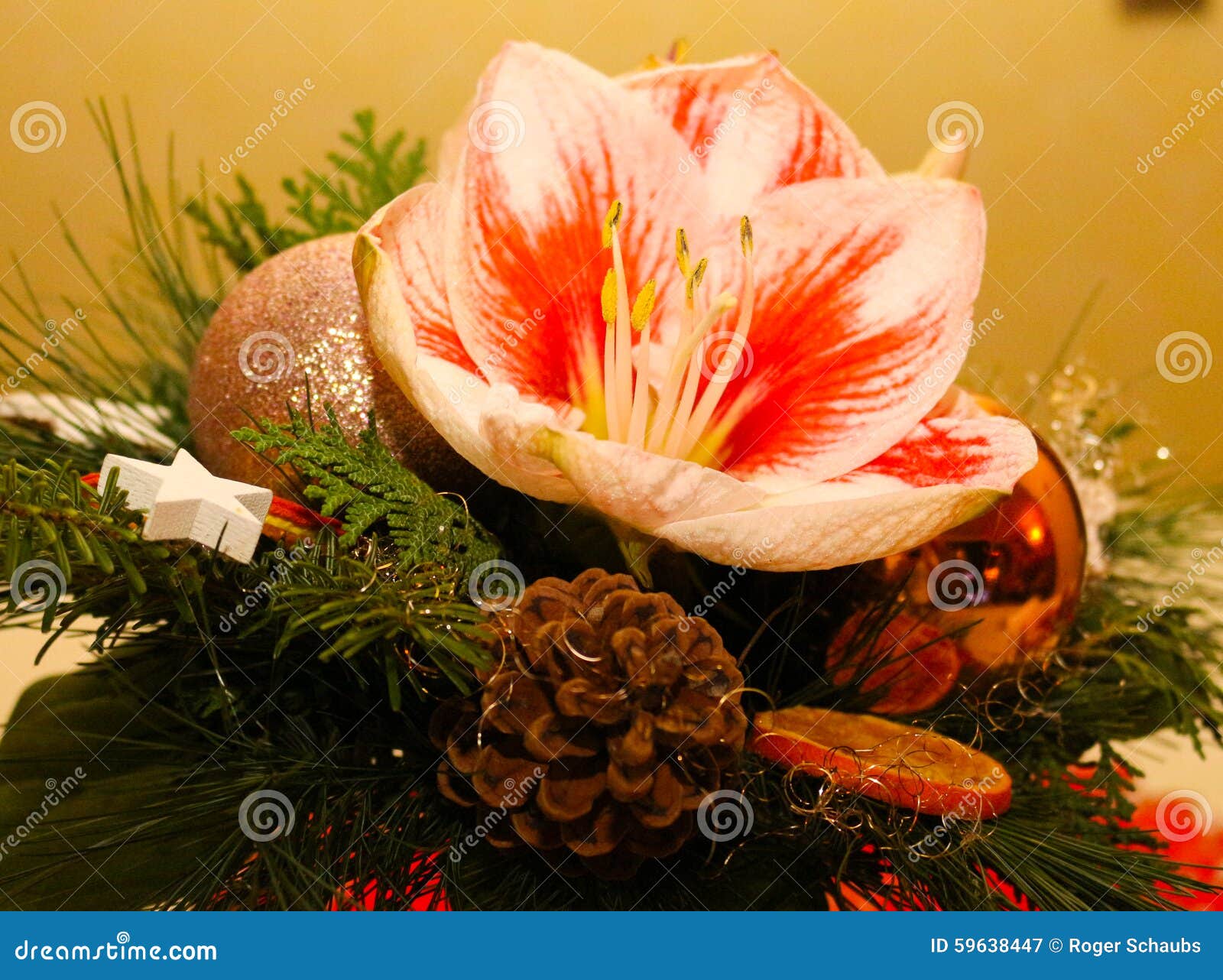 Chrismas Flowers stock image. Image of decoration, ceremony - 59638447
