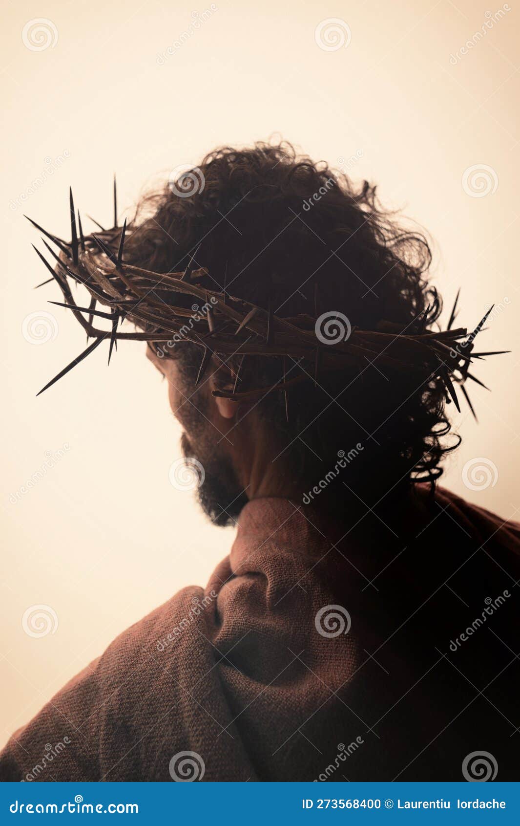 Christ Portrait with Crown of Thorns Stock Photo - Image of guard ...