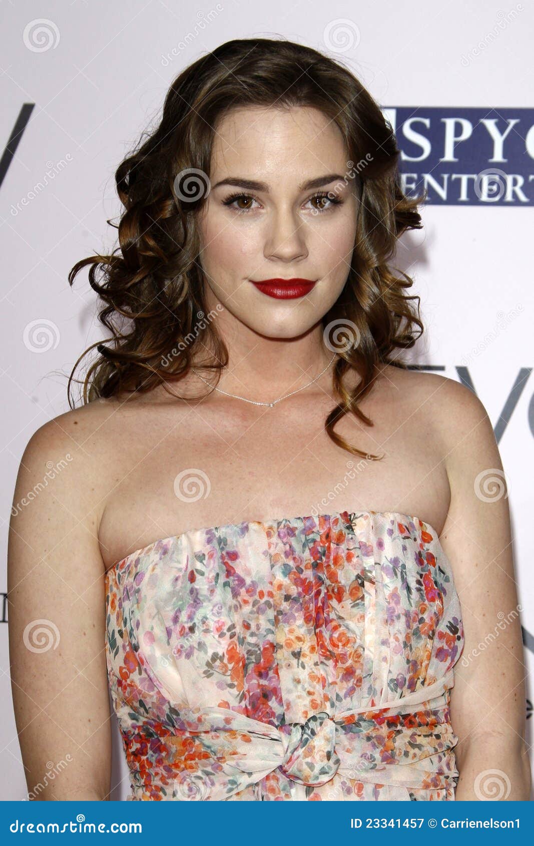 Christa B Allen editorial photography. Image of theater - 23341457