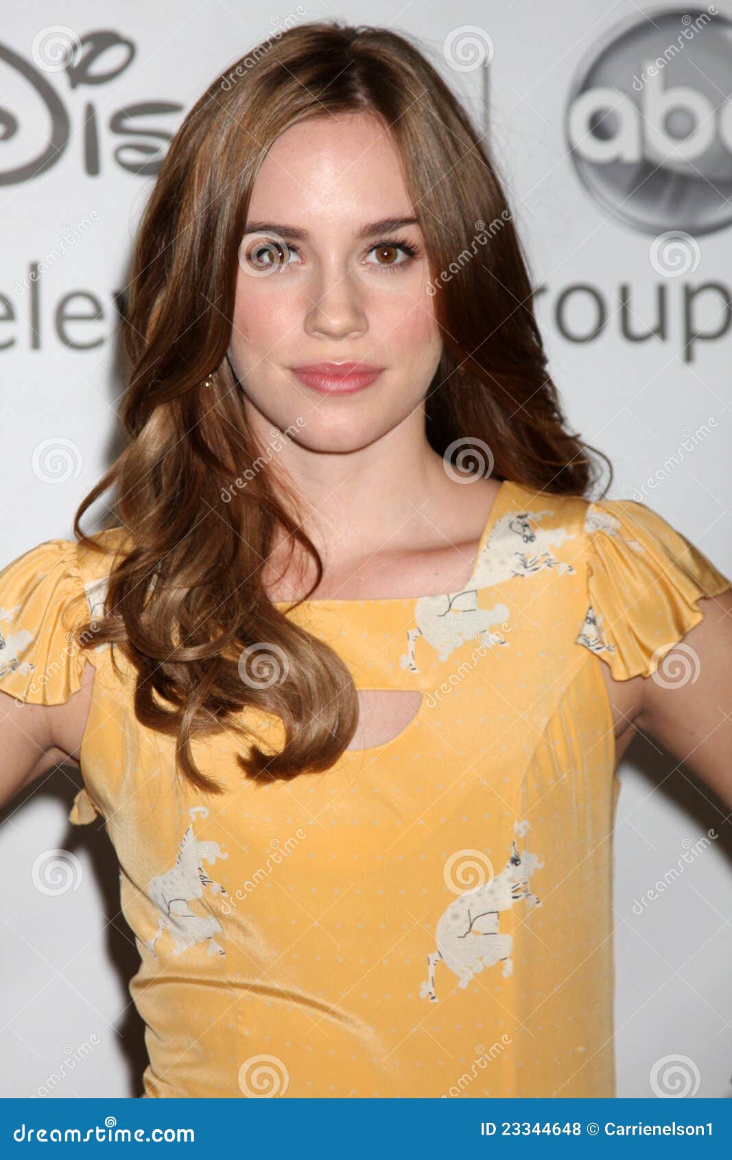 Christa B Allen, foto de archivo editorial. Imagen de viaje - 23344648