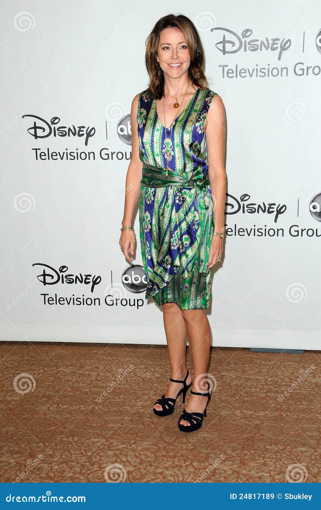 Christa Miller editorial stock image. Image of television - 24817189