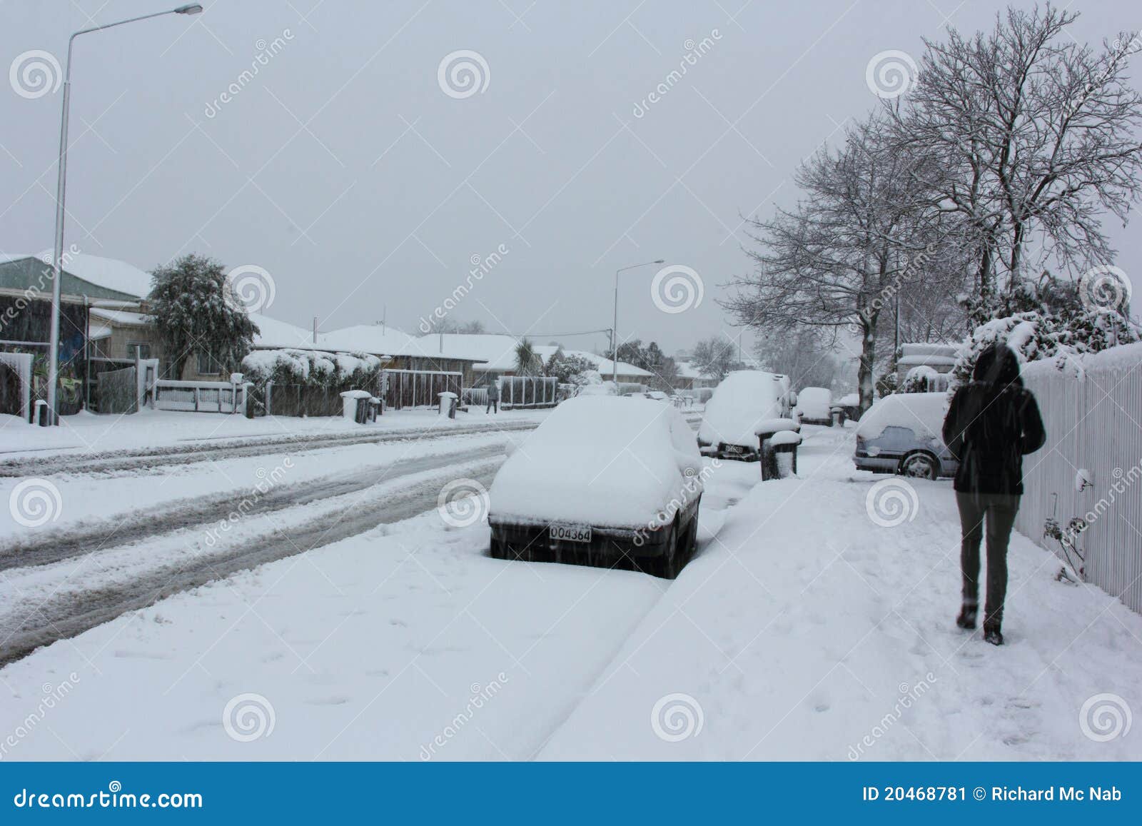 Christchurch New Zealand Snowfall
