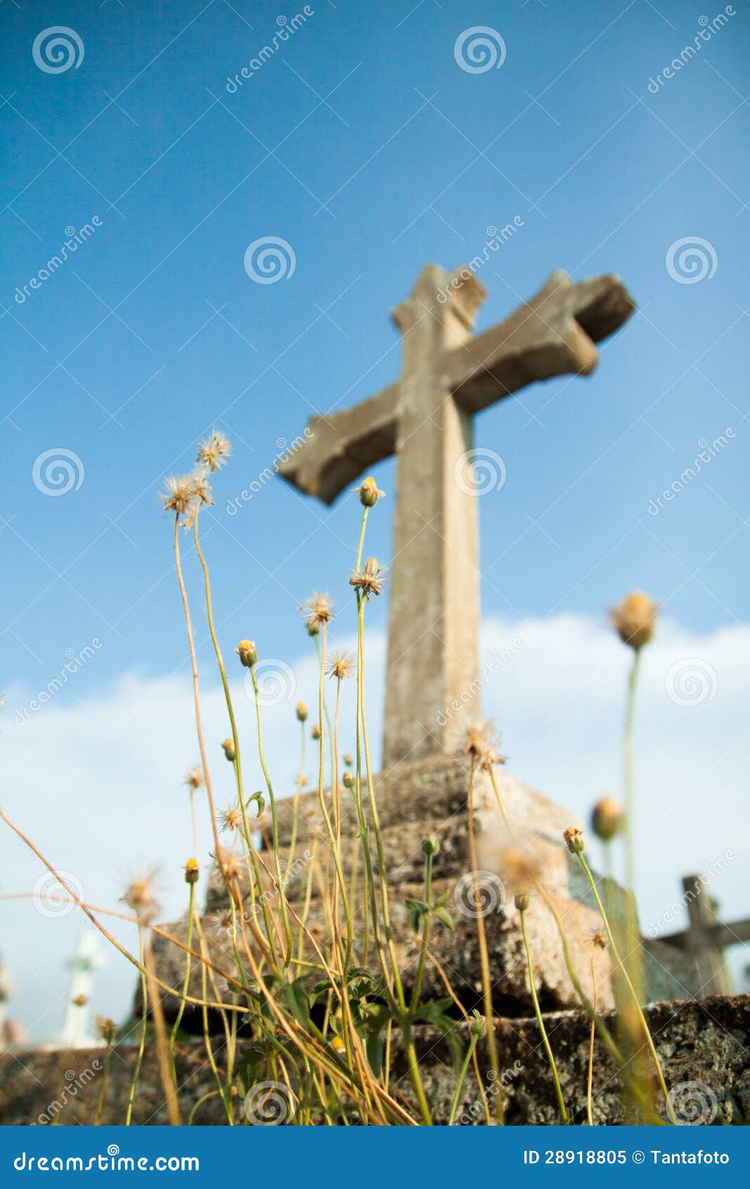 Christian cross and flower stock image. Image of monument - 28918805