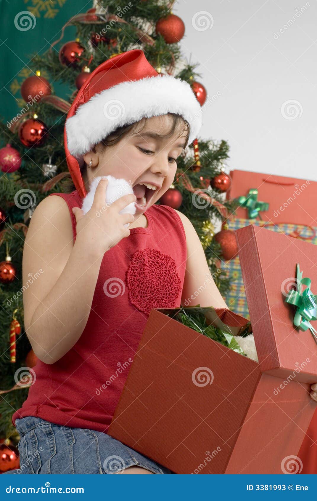 Christmas stock image. Image of jolly, emotions, celebration - 3381993