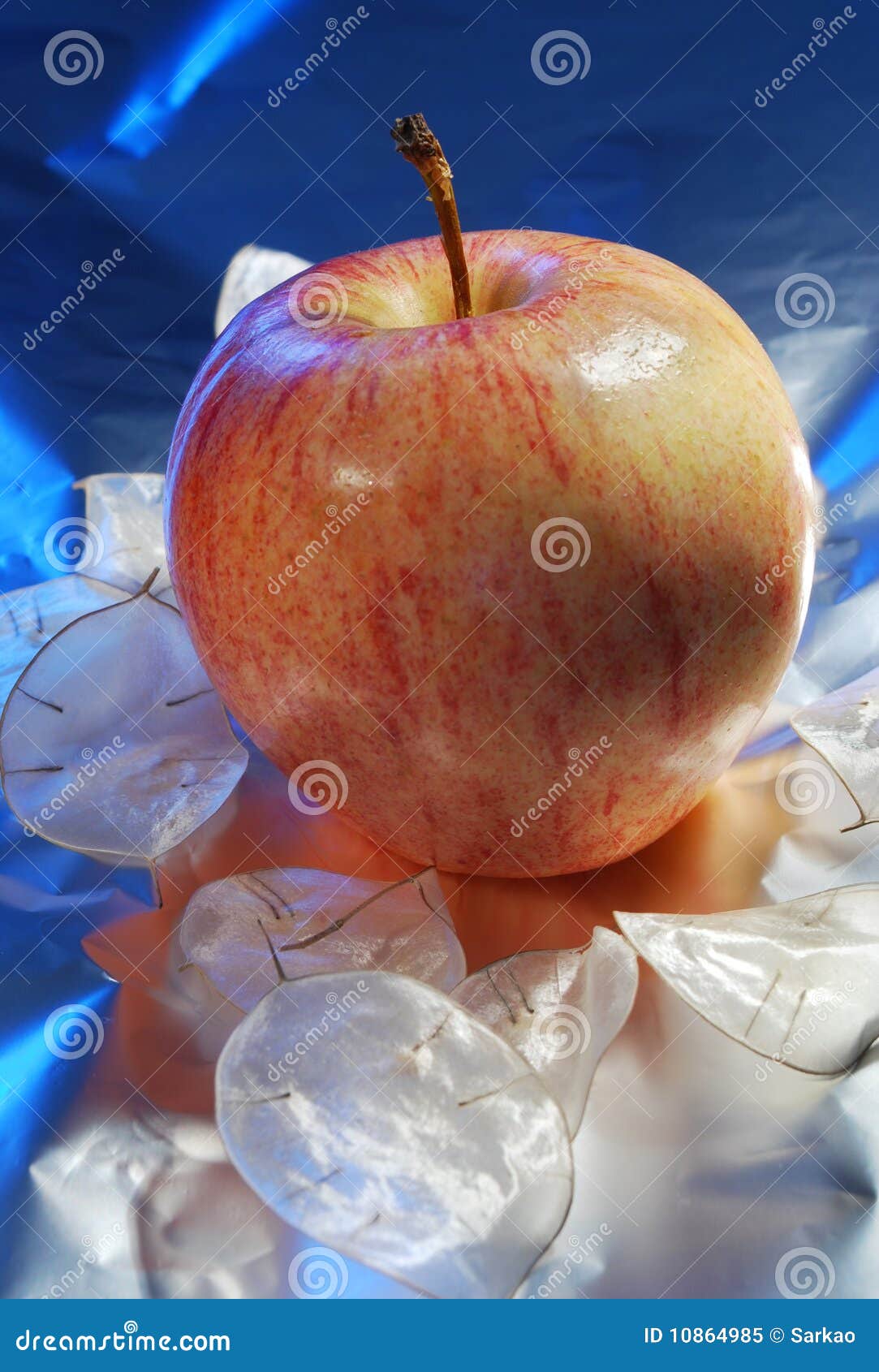 Christmas apple stock image. Image of decorative, blue - 10864985