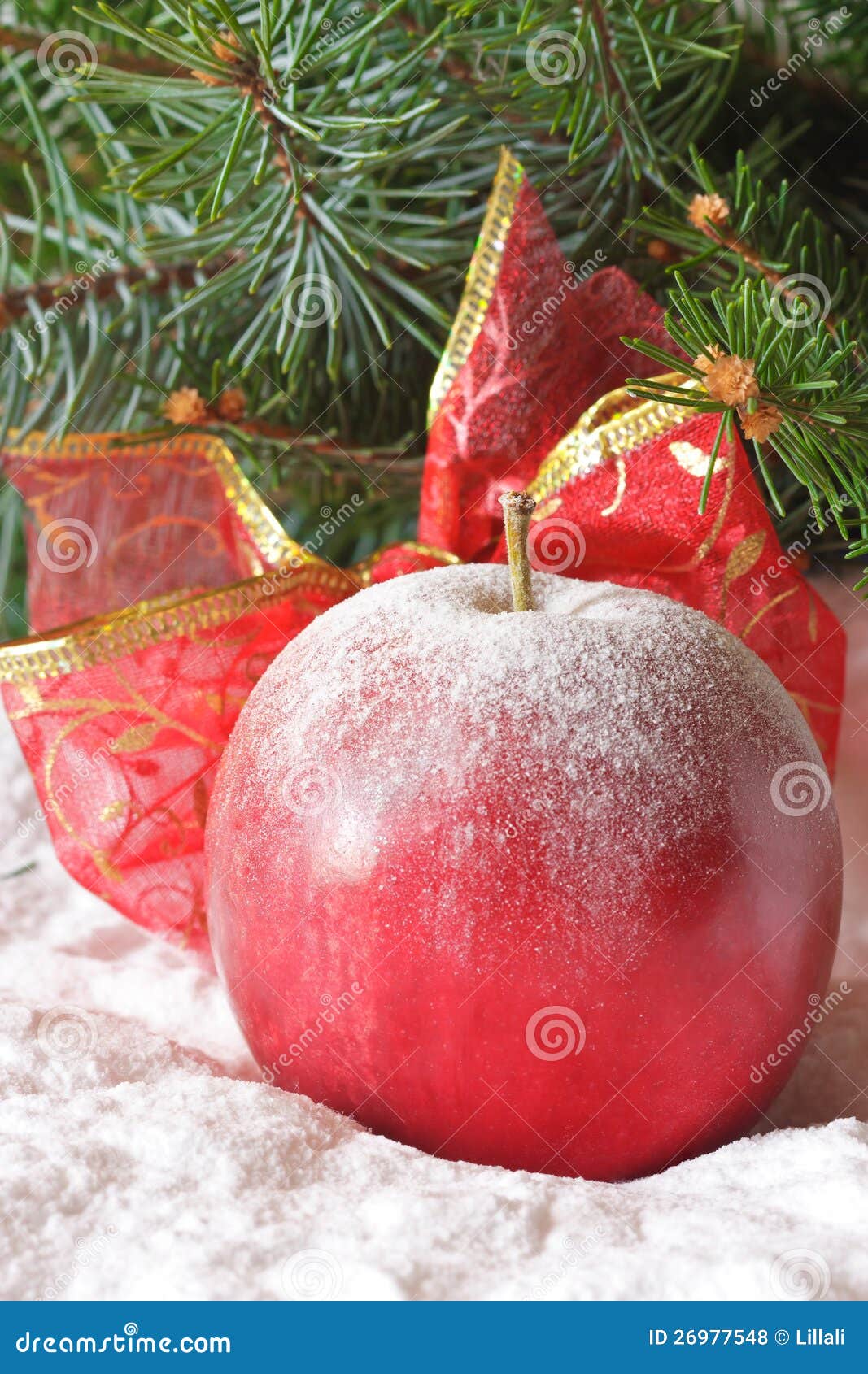 Christmas apple. stock photo. Image of gold, shiny, decorate - 26977548
