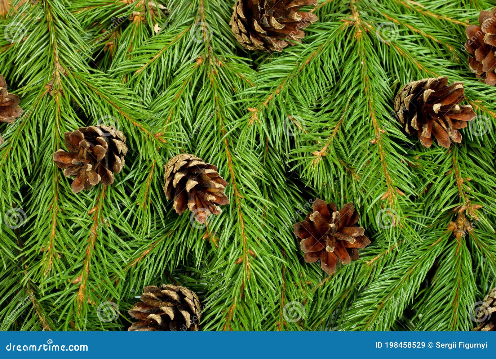 Christmas Background. Eve Framework Stock Image - Image of gift, border ...