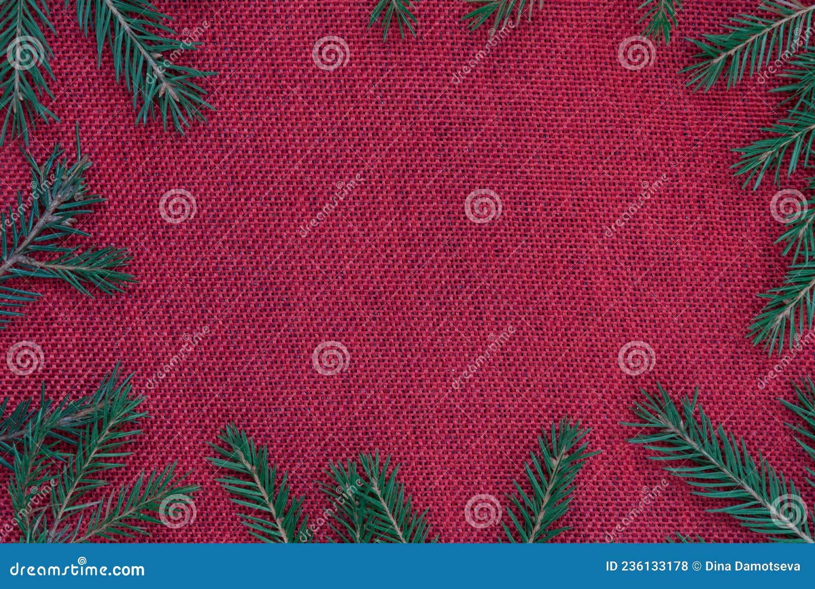 Christmas Background. Red Burlap, Branches of a Christmas Tree Stock ...