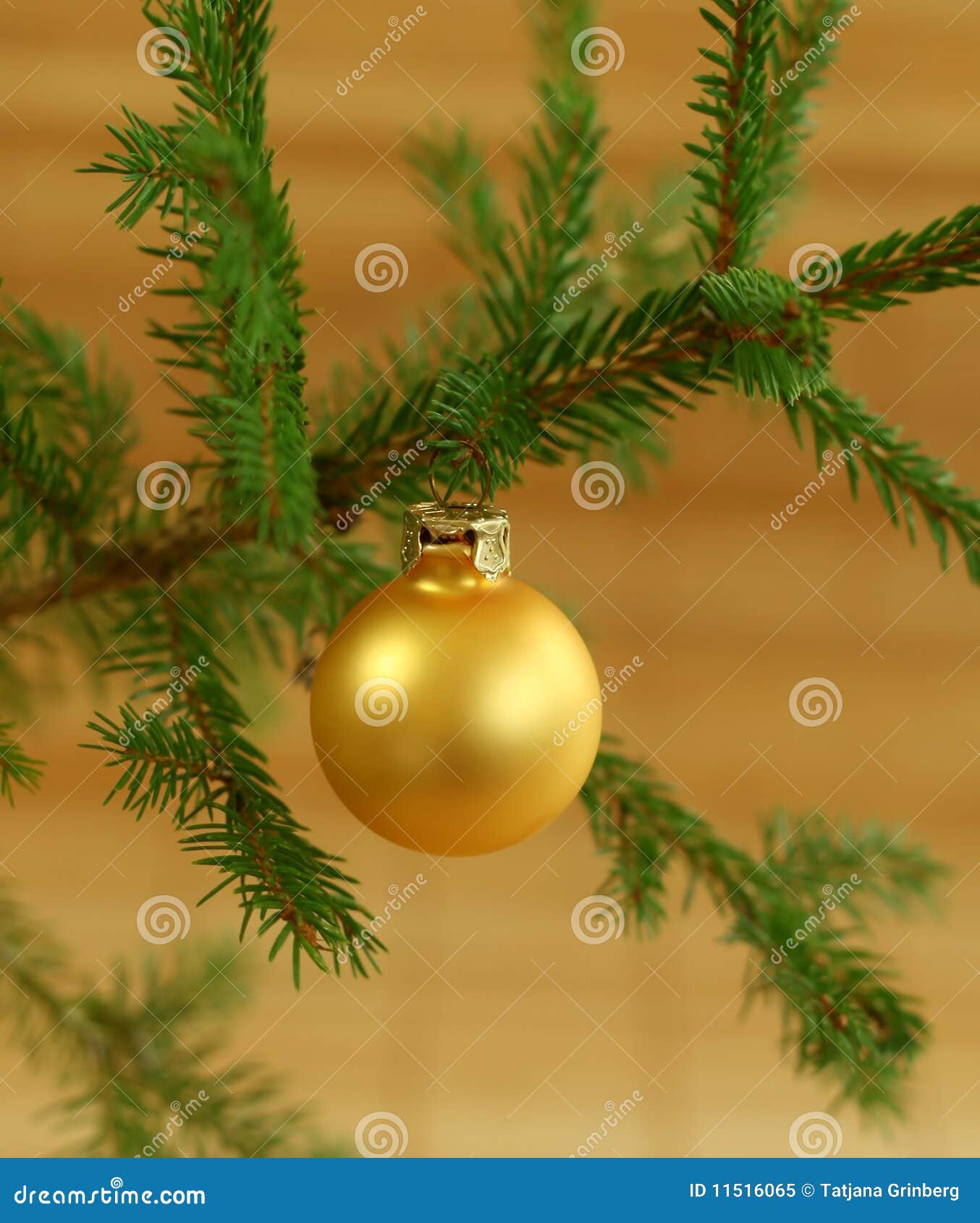 Christmas Ball on Fir-tree Branch Stock Image - Image of decoration ...