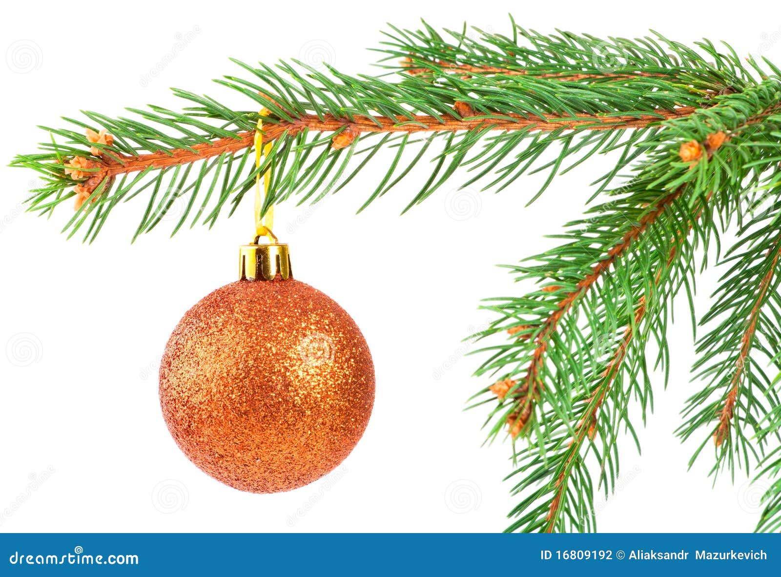 Christmas Ball on a Fir Tree Branch Stock Photo - Image of decorative ...