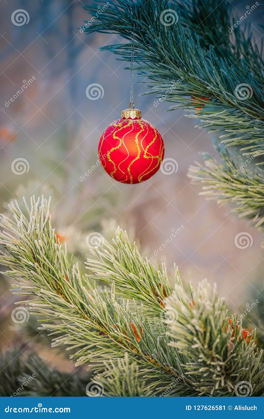 Christmas Ball Hanging on a Pine Tree Stock Image - Image of branch ...