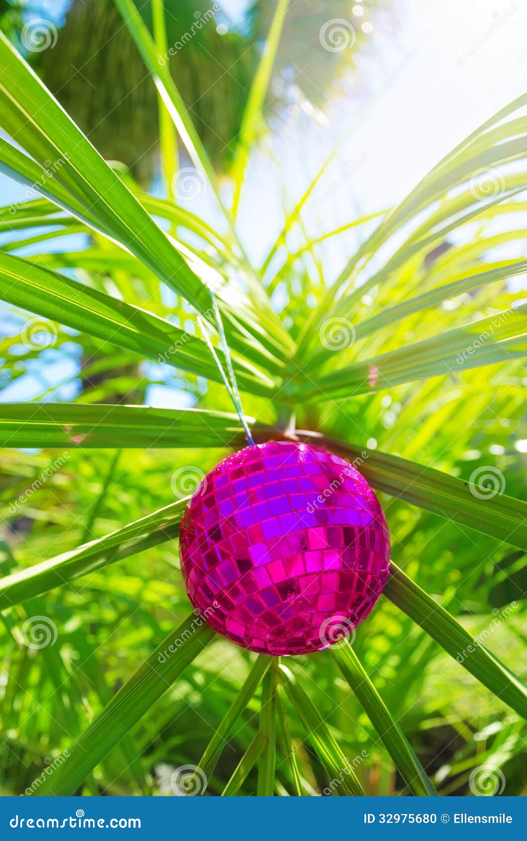 Christmas Ball on Palm Tree Stock Photo - Image of year, sunlight: 32975680
