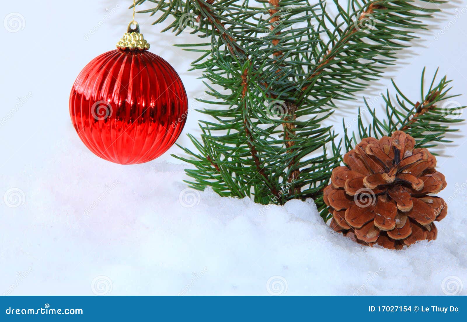 Christmas Ball and Pine stock photo. Image of celebrate - 17027154