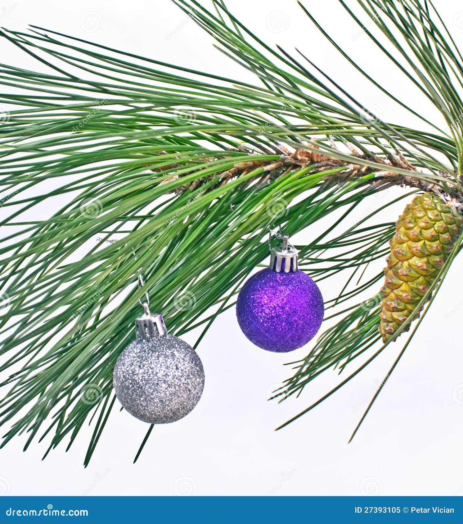 Christmas Ball on Pine Fir Tree Branches Isolated Stock Image - Image ...