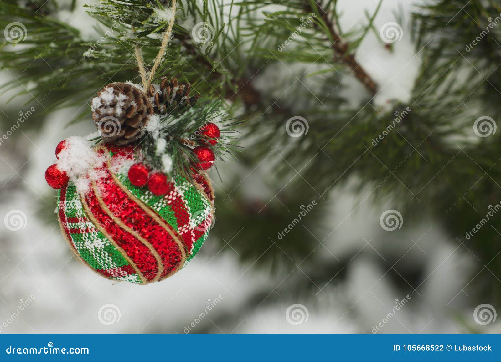 Christmas ball on tree stock photo. Image of decoration - 105668522