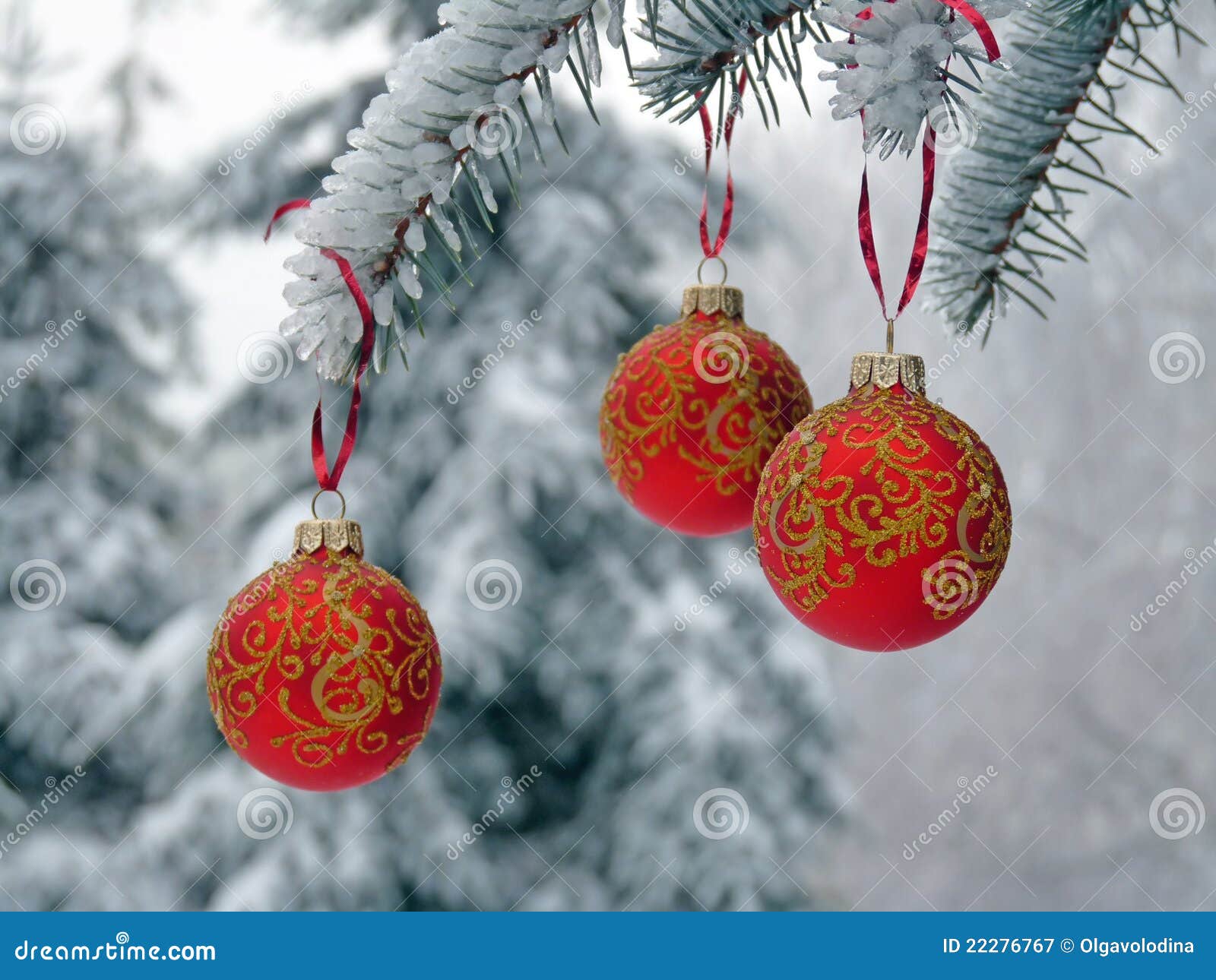 Christmas Balls on the Snow Spruce Stock Image - Image of snow, hanging ...