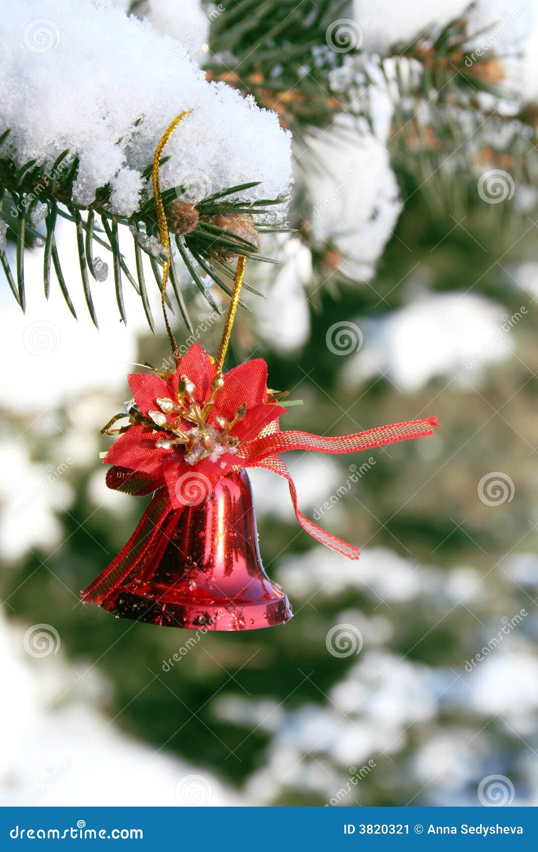 Christmas bell stock image. Image of branch, morning, fresh - 3820321