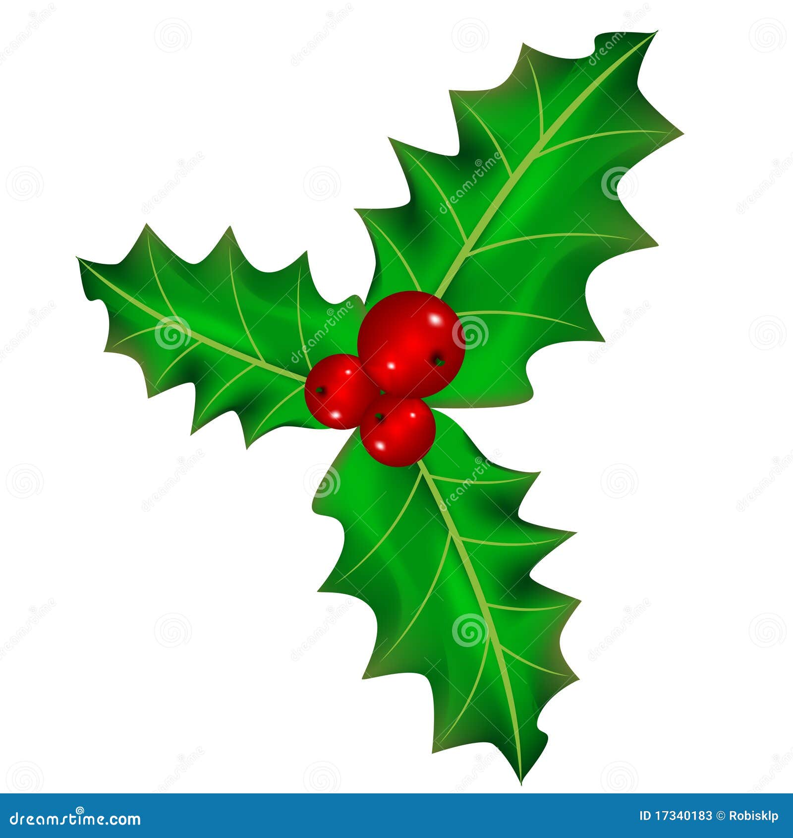 Christmas berry stock illustration. Illustration of holly - 17340183