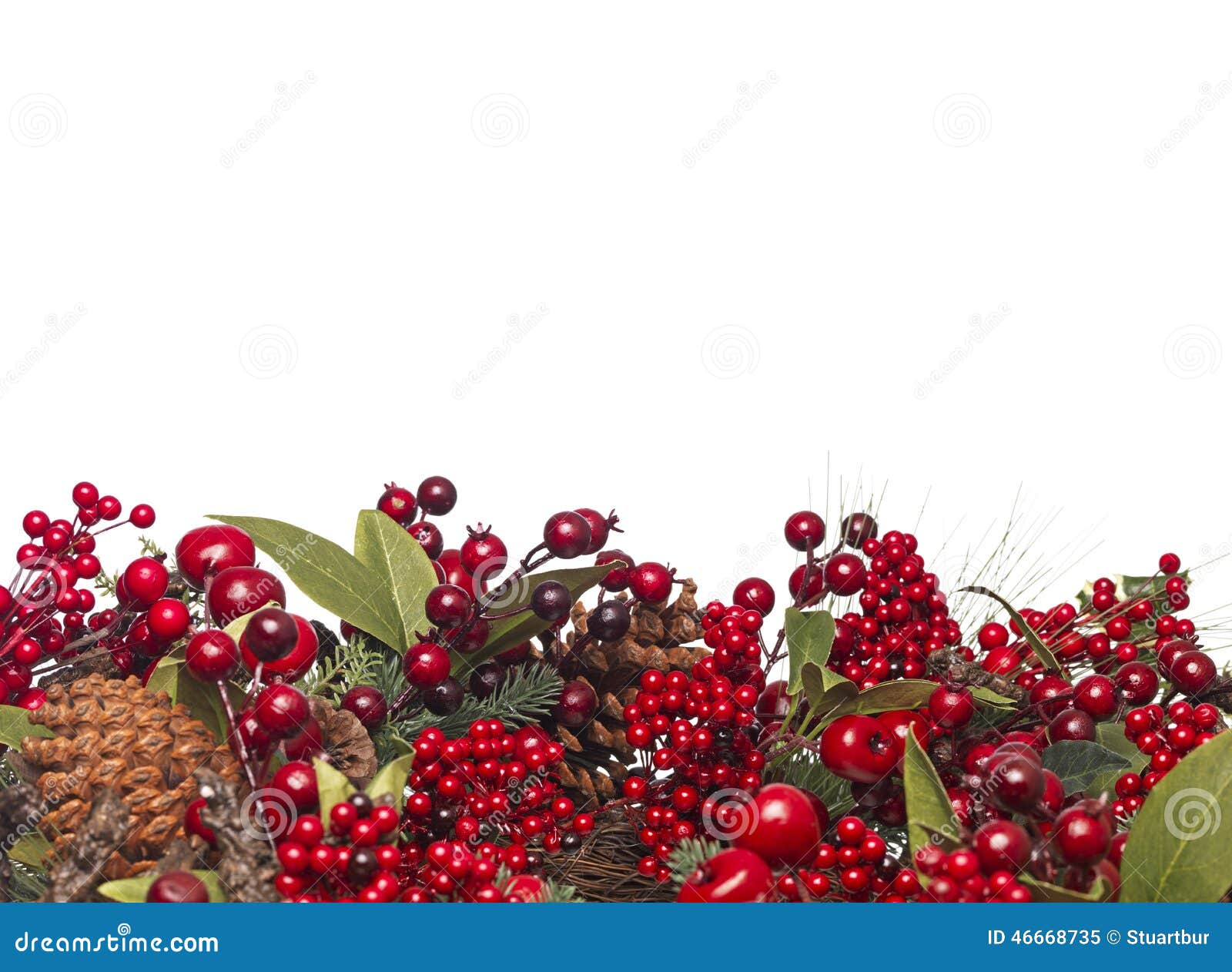 Christmas Berry Border stock image. Image of white, objects - 46668735