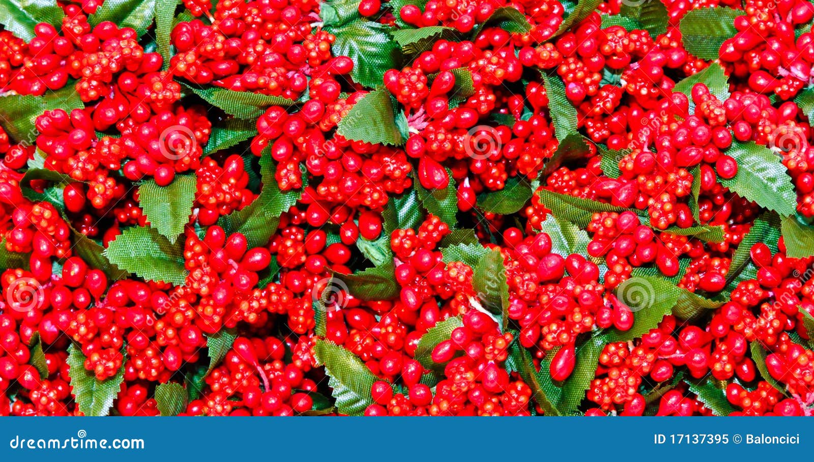 Christmas berry texture stock image. Image of plant, winter - 17137395
